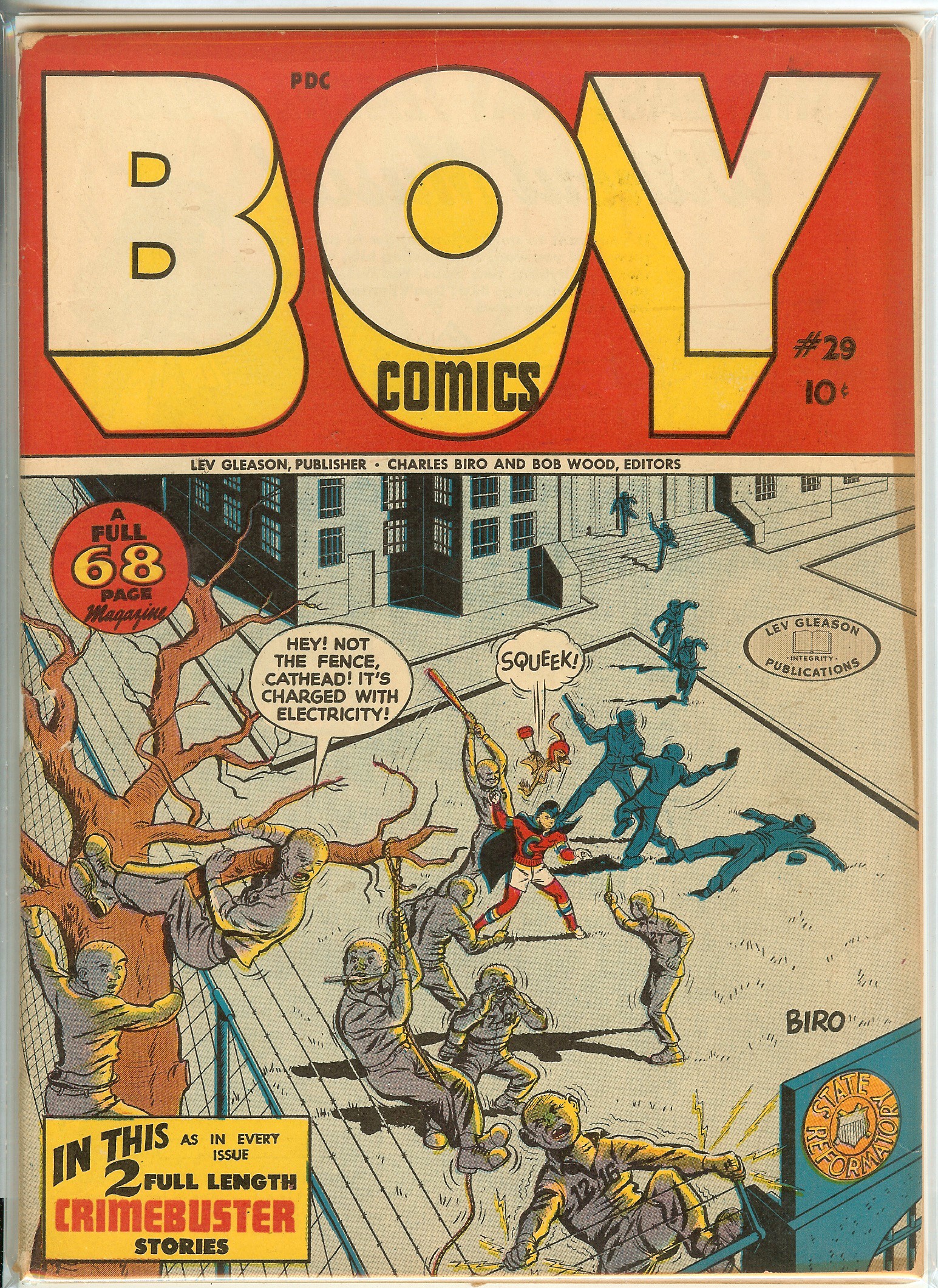 Boy Comics #29
