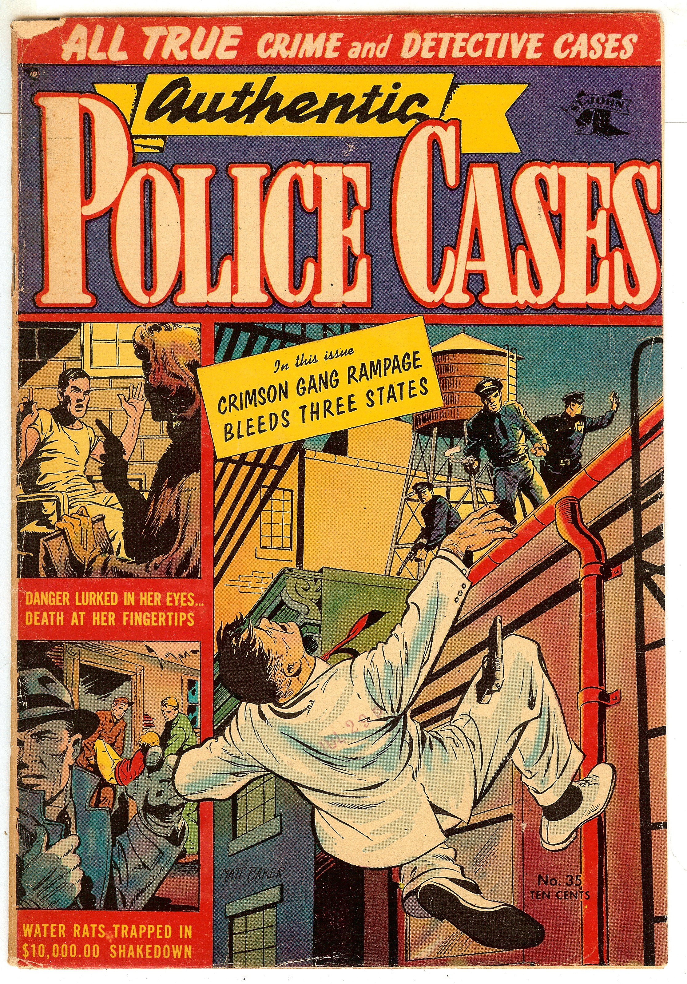 Authentic Police Cases #35