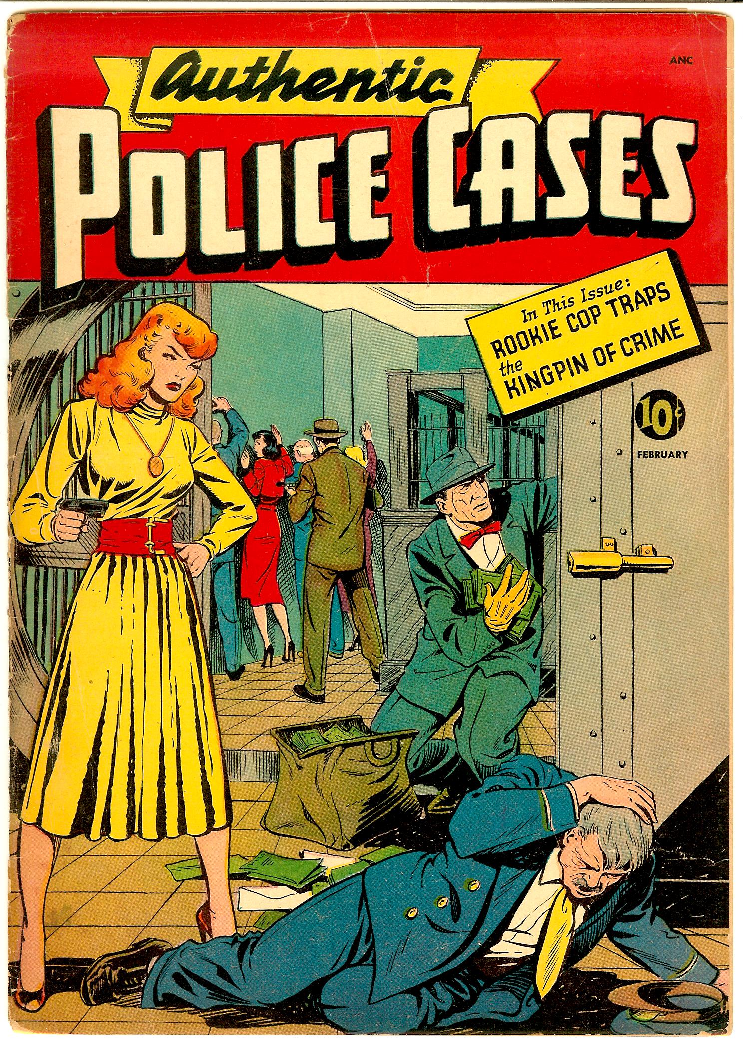 Authentic Police Cases #11