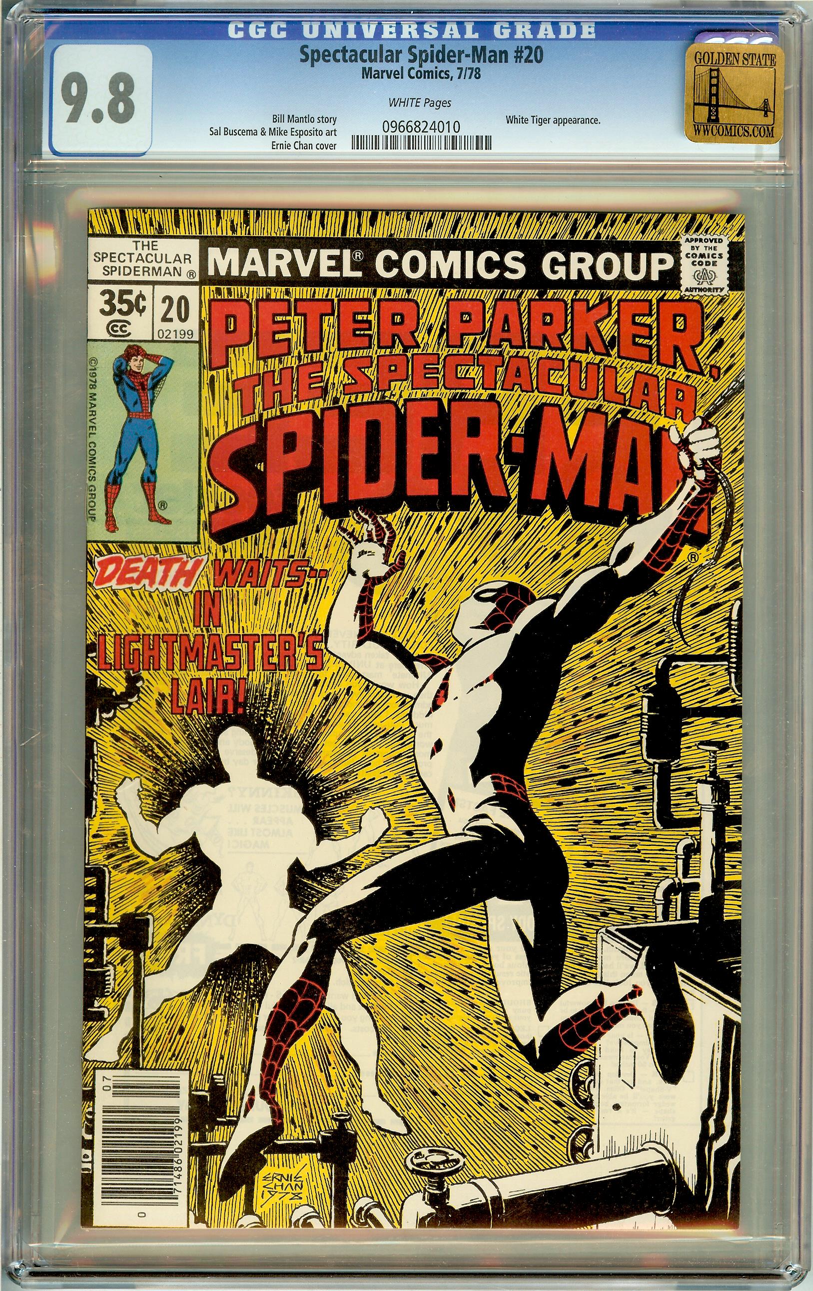 Spectacular Spider-Man #20