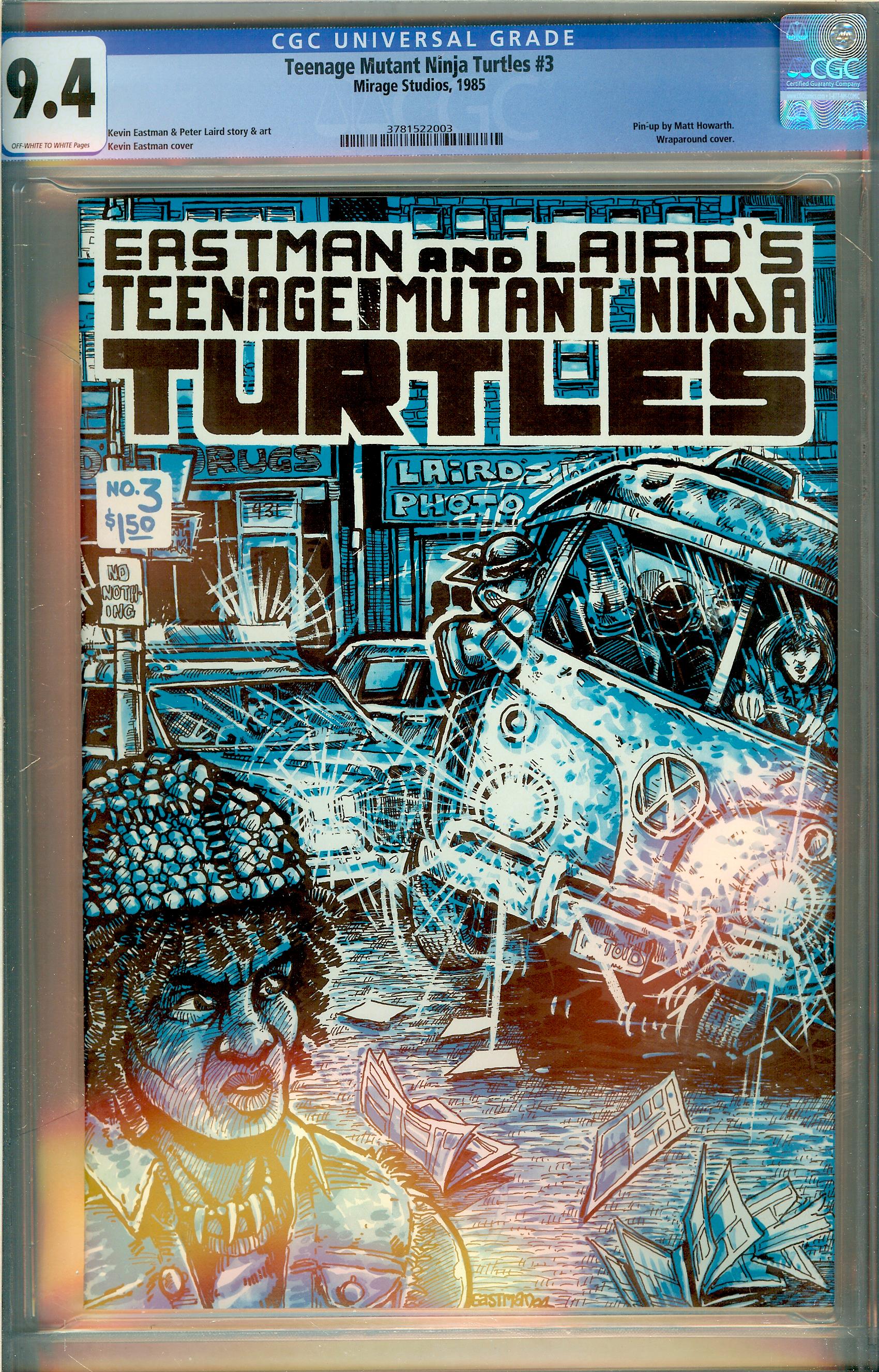 Teenage Mutant Ninja Turtles #3