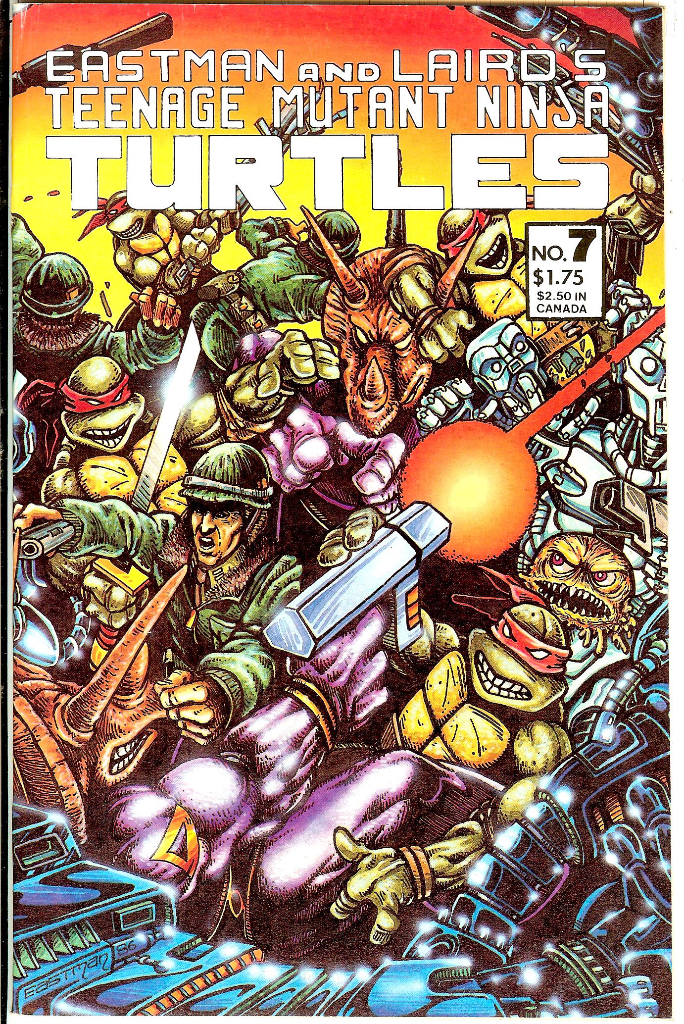 Teenage Mutant Ninja Turtles #7