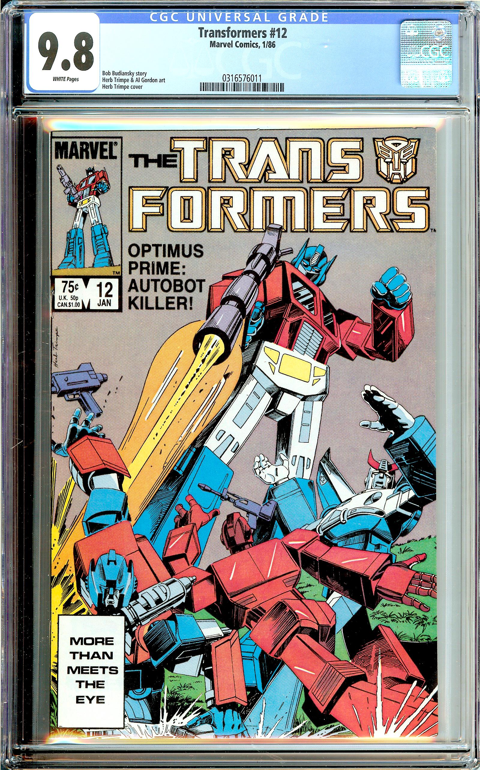 Transformers #12